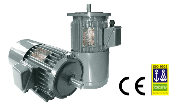 สินค้าอุตสาหกรรม แบรนด์ FKT Gear Motor หลายประเภท